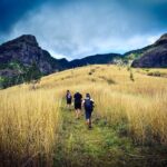 Koroyanitu National Heritage Park Fiji - Hike - Waterfall - Why This Tour Works for Different Travelers