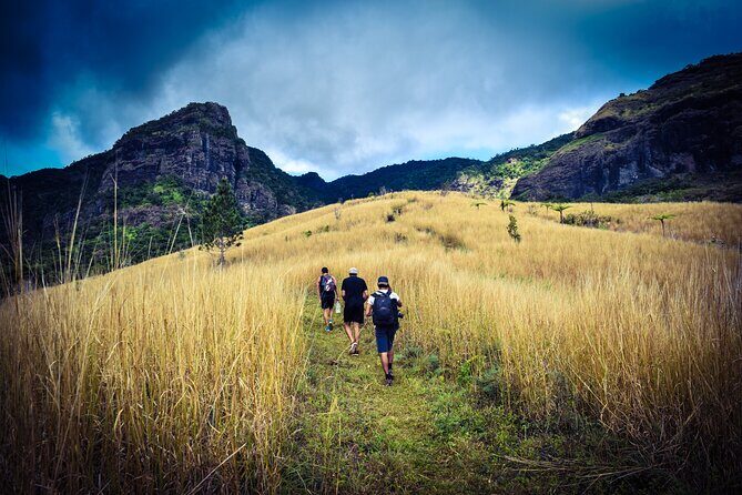 Koroyanitu National Heritage Park Fiji - Hike - Waterfall - Why This Tour Works for Different Travelers