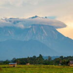 Kota Kinabalu: Private Kundasang and Poring Hot Spring Tour - What to Expect: The Details of Your Day