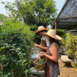 Krabi: Authentic Thai Cooking Class+Thai Herbs Garden Tour - What Sets This Tour Apart