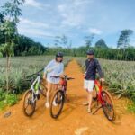 Krabi: Cycling Tour To Krabi - Detailed Breakdown of the Route and Stops