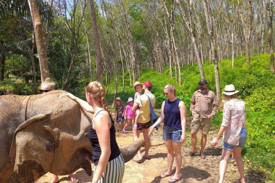 Krabi: Elephant Care House Guided Tour with Hotel Transfers - Authentic Experiences and Respectful Interaction