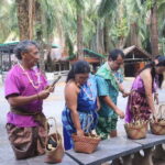 Krabi: Elephant Feeding Program with Traditional Thai Dress - The Experience Itself — Highlights and Limitations