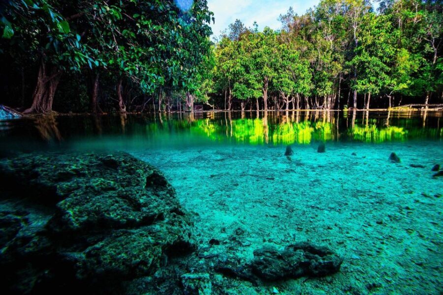 Krabi: Emerald Pool & Hot Spring Waterfall with Kayaking - What’s Good Value?