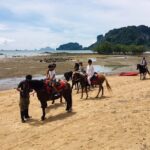 Krabi: Horseback Riding on the Beach - Exploring the Natural and Cultural Highlights