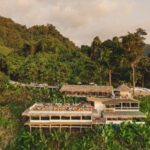 Krabi: Kayaking Ao Thalane and Khaothong Hill Café - Authentic Experience and Value