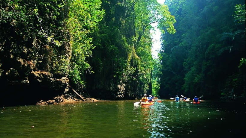 Krabi: Kayaking in Ao Thalane Bay Beautiful Mangrove Forest - What to Expect on the Tour