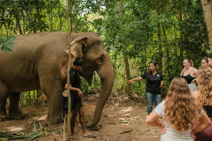 Krabi: Love Elephant Sanctuary Tour - Why This Tour Works for Travelers