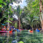 Krabi: Mirror Lake Kayaking & Swimming in Hidden Paradise - Deep Dive Into the Details