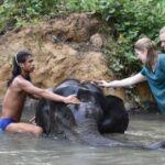 Krabi: Tour of Elephant Care House and Tiger Cave Temple - The Elephant Sanctuary: What to Expect