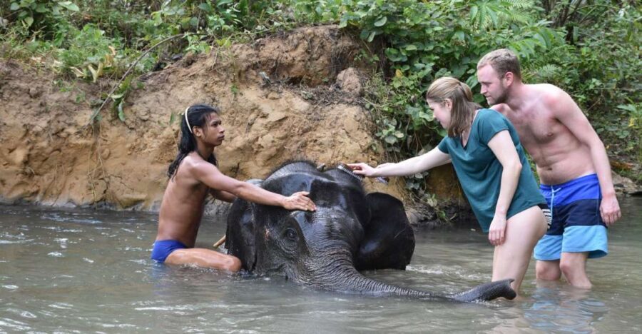 Krabi: Tour of Elephant Care House and Tiger Cave Temple - The Elephant Sanctuary: What to Expect
