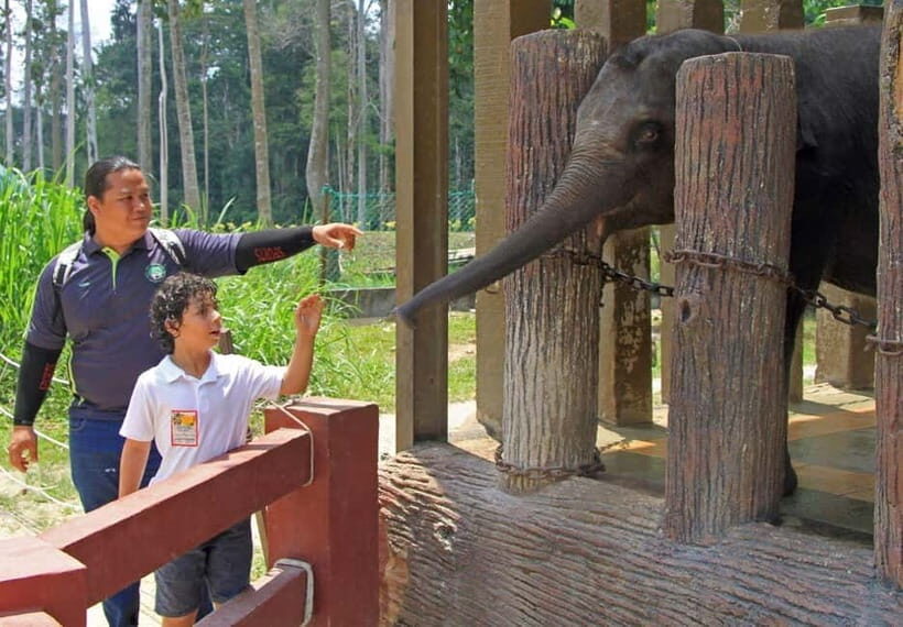 Kuala Lumpur Day Tour: Batu Caves & Elephant Sanctuary - Who Will Love This Tour?