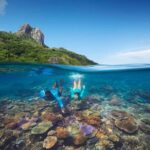 Kuata Island Marine Conservation Experience with Lunch - The Sum Up