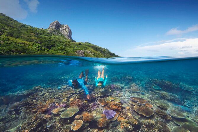 Kuata Island Marine Conservation Experience with Lunch - The Sum Up