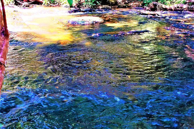Kulen deep jungle explorations Private Tour - Practical Details and Value