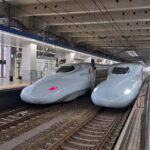 Kumamoto: Castle & Culture Trip from Hakata to Kumamoto - Practical Tips for Participants