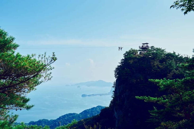 Kumamoto: Dolphin Watching and Zipline Experience Tour - Practical Details and Value