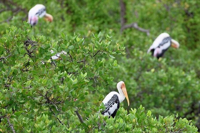 Kumana National Park Private Safari - What to Expect from Your Kumana Safari