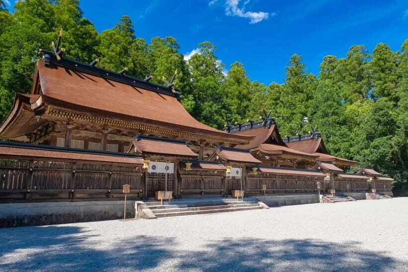 Kumano Kodo Hiking Day Tour from Osaka - The Itinerary Breakdown: What You’ll Experience