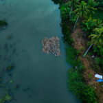 Kumarakom: Sunset Cruise with Village Life and Local Food - What’s Included and What You’ll Experience