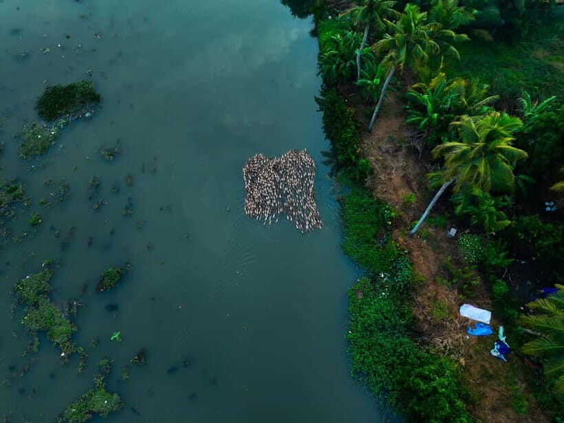 Kumarakom: Sunset Cruise with Village Life and Local Food - What’s Included and What You’ll Experience