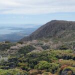 kunanyi/Mt Wellington Explorer Bus - One Way Tour - Price and Value
