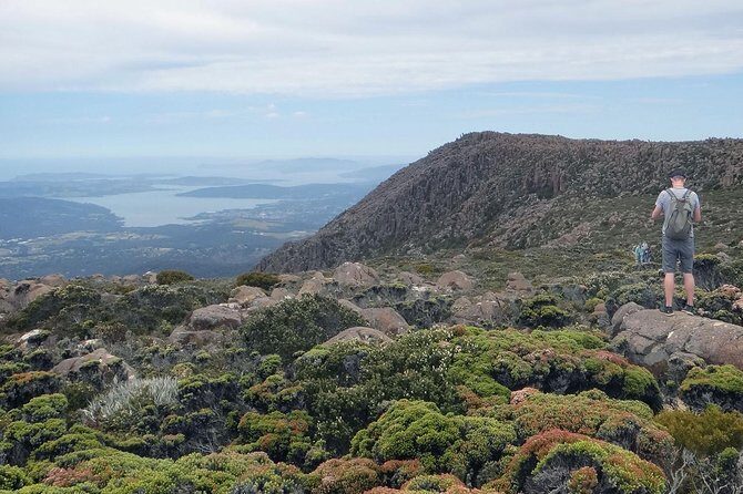kunanyi/Mt Wellington Explorer Bus - One Way Tour - Price and Value