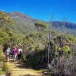 kunanyi/Mt Wellington Ultimate Experience Afternoon Tour - The Sum Up: Who Is This Tour Best For?