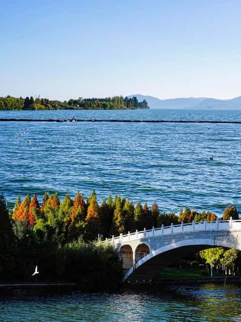 Kunming: Stone Forest and Dianchi Lake Day Trip with Lunch - What Makes This Tour Stand Out?
