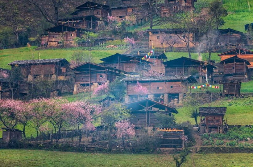Kunming: Stone Forest & Chengzi Ancient Village Private Tour - Exploring the Stone Forest: A Natural Wonder