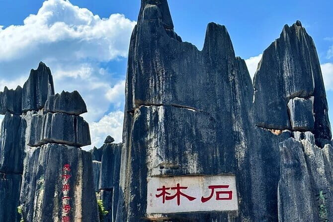 Kunming Stone Forest + Kunming City Private Tour - Tasting Yunnan: A Local Lunch in Yiliang