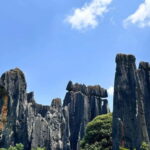 Kunming: Stone Forest, Roast Duck Lunch and City Tour - Key Points