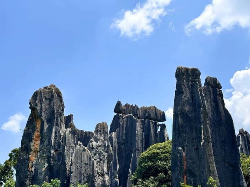 Kunming: Stone Forest, Roast Duck Lunch and City Tour - Key Points