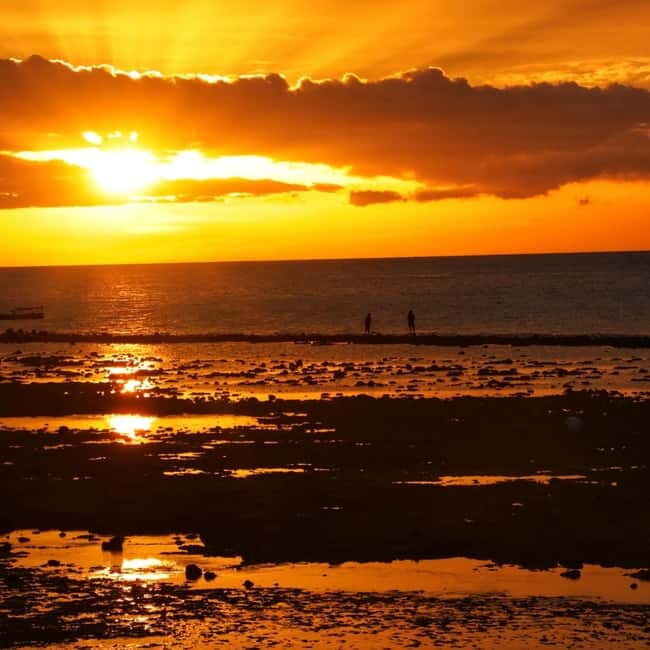Kupang: Day Tour with Hotel Pickup and Drop-Off - What the Tour Includes and Practical Details
