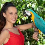 Kuranda: Birdworld Entry Ticket - Value and Practical Considerations