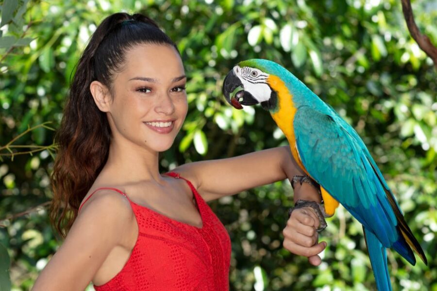 Kuranda: Birdworld Entry Ticket - Value and Practical Considerations