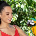Kuranda by Design, a VIP package experience - Who Will Love This Experience?