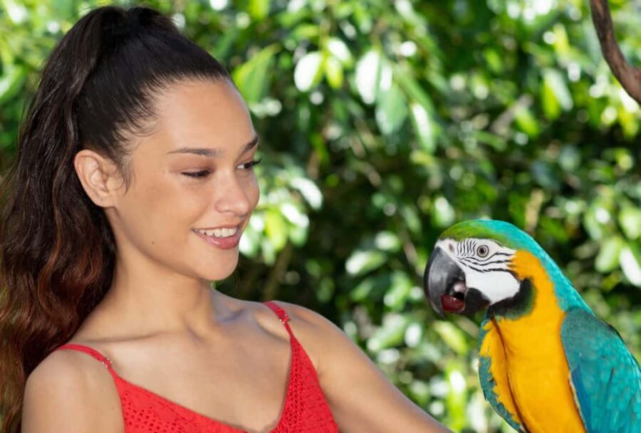 Kuranda by Design, a VIP package experience - Who Will Love This Experience?