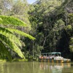 Kuranda, Cairns & Port Douglas Multi-Park Package - Who This Tour Is Best For