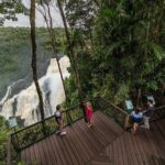 Kuranda Day Tour, TKS-RFS CLASSIC GOLD PLUS 0930 - What Makes This Tour Stand Out?
