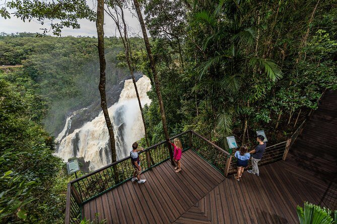 Kuranda Day Tour, TKS-RFS CLASSIC GOLD PLUS 0930 - What Makes This Tour Stand Out?