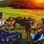 Kuranda Half Day Including Quad Bike Experience and Petting Zoo - Insights from Past Travelers