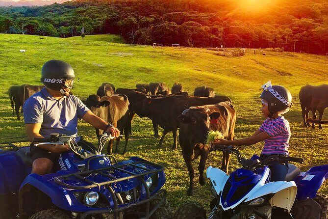 Kuranda Half Day Including Quad Bike Experience and Petting Zoo - Insights from Past Travelers