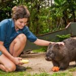 Kuranda Koala Gardens General Entry Ticket - Analyzing Value and Practical Aspects