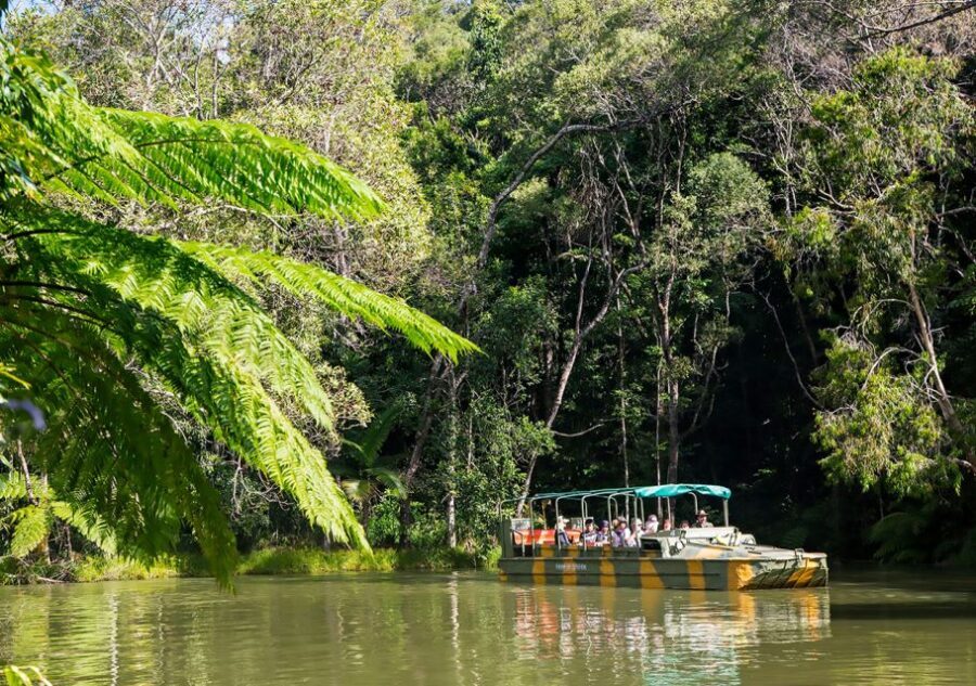 Kuranda Pamagirri Aboriginal Premium Full-Day Tour - An In-Depth Look at the Experience