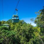 Kuranda Scenic Railway Day Trip from Palm Cove - Exploring Kuranda Village and Wildlife Encounters