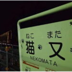 Kurobe Gorge: Night Train Tour with Stargazing - What to Expect