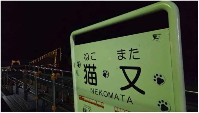 Kurobe Gorge: Night Train Tour with Stargazing - What to Expect