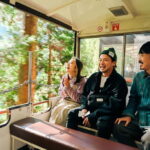Kurobe: Gorge Trolley Train Ride with Drink - Why This Experience Is Worth Considering