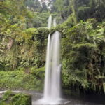 Kuta Lombok: Tiwu Kelep Waterfall and Monkey Forest Tour - Who This Tour Is Perfect For